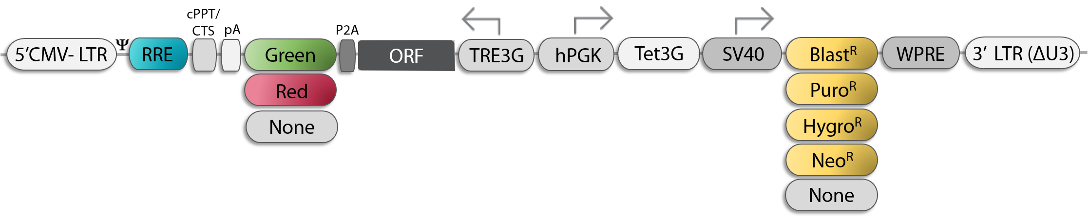 Request a Quote-Gene Synthesis Services - Skyang Bio